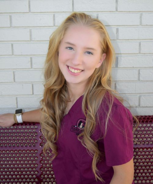 Osage Beach, MO 65065 Veterinarians - Lake Hills Veterinary Clinic